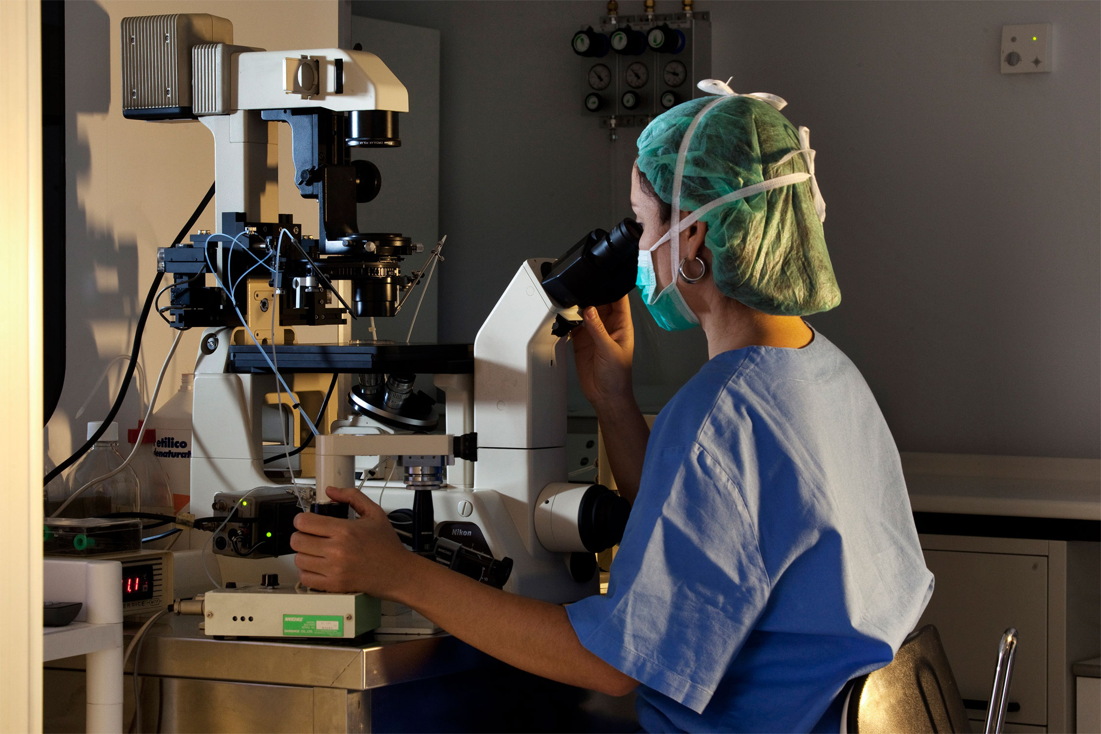 Alma Res | Test di frammentazione del dna | Clinica fecondazione ...