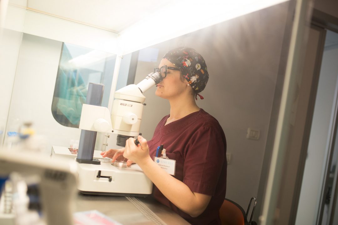 Vuoi diventare Embriologo clinico? Quale percorso seguire?